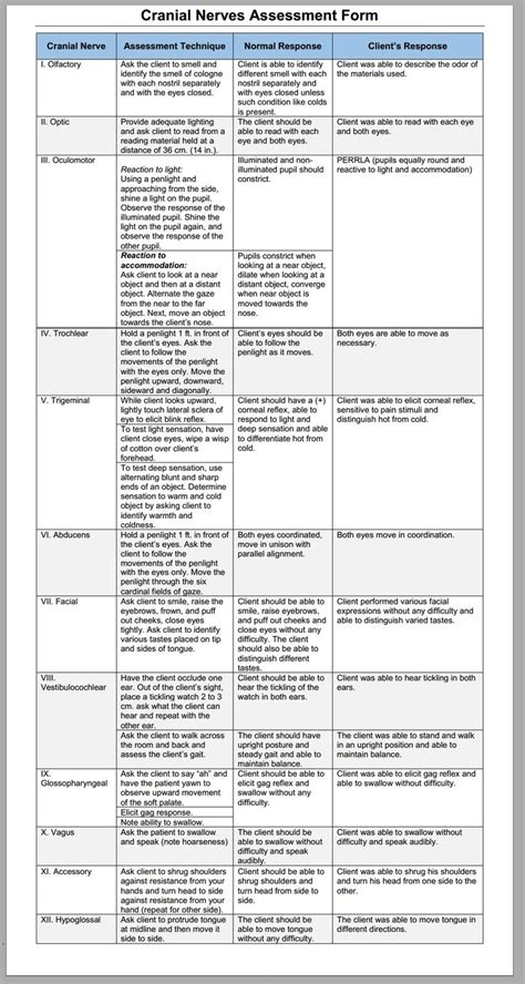 Pin By Rhea Fitton On Nursing Nursing Assessment Cranial Nerves
