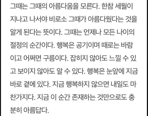 우리는 그때의 아름다움을 모른다 영감을 주는 인용구 현명 인용구 힘을 주는 문구