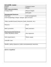 Comprehensive Guide To Tree Identification And Care Scientific Name Family Type Tree