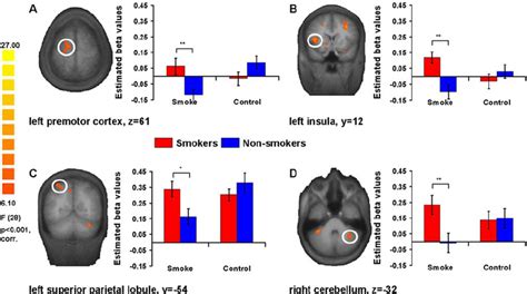 Neural Cue Reactivity In Smokers And Nonsmokers A Whole Brain Rfx Download Scientific Diagram