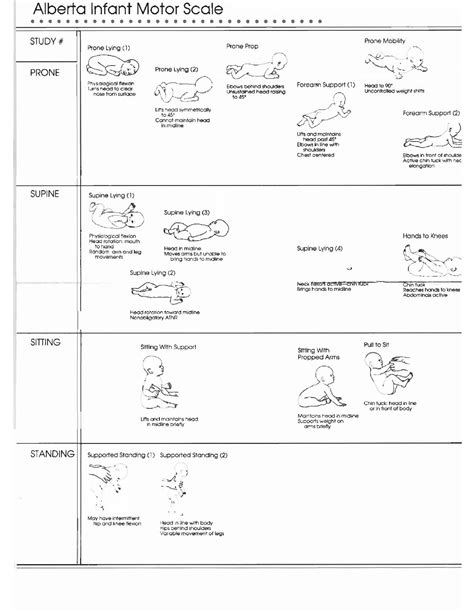 Alberta Infant Motor Scale Record Booklet