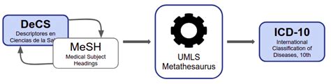 Decs To Icd 10 Mapping Download Scientific Diagram