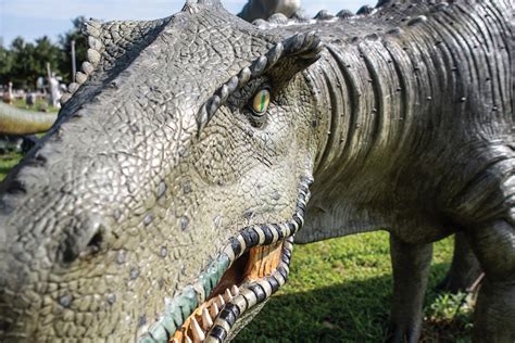 What S That Dino Doing On The Side Of The Road Houstonia Magazine
