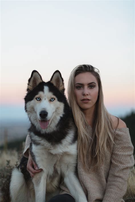 Fotos Gratis Vertebrado Perro De Trineo Husky Siberiano Malamute