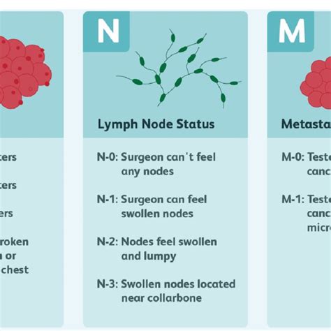 Tnm Classification Of Breast Cancer Download Scientific Diagram