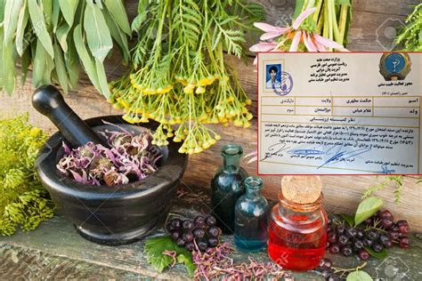 رشد افکار آیا میدانستید مشاهده تصاویر و فیلمهای مبتذل و پورنو تاثیرات