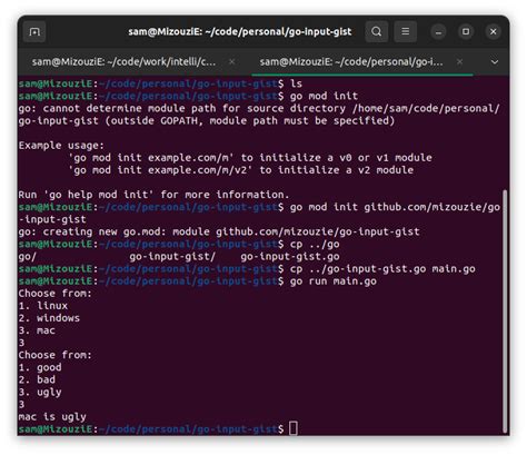 Experimental Go Gist Go Input Gist