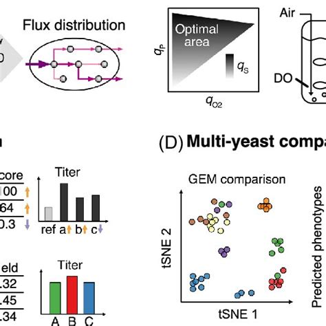 Pdf Genome Scale Modeling Of Yeast Metabolism Retrospectives And