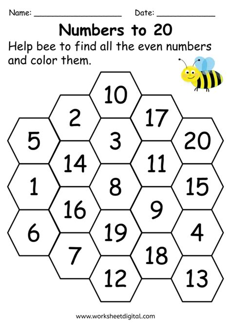Even Numbers Fun Worksheet For Students To Learn