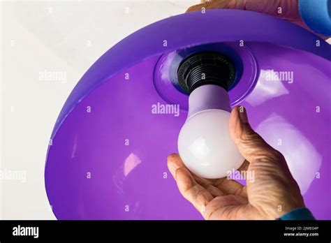 Putting Led Light Bulb In The Socket Of Purple Pendant Light Stock Photo Alamy