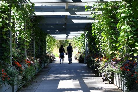 Premium Photo A Couple Walking Down A Walkway With Flowers On The Left And A Man And Woman