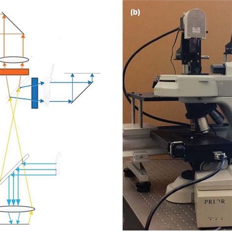 Contrast Transfer Function Ctf Curves Of The Two Ccd Detectors Two Download Scientific