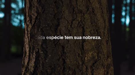 TekoÁ Nobre Tekoa Oficial • Instagram Photos And Videos