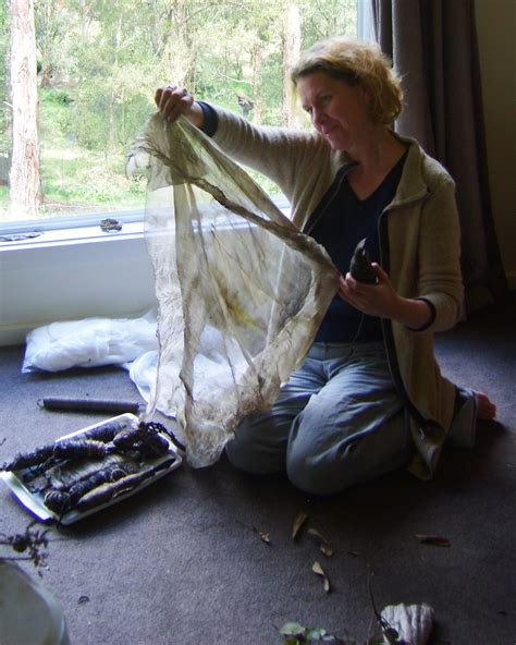 Musing Naturally Dyed For Nuno Felt With Jude Craig