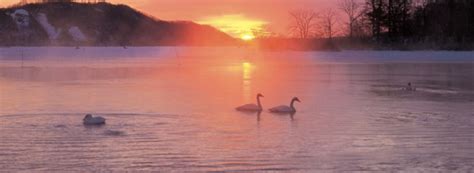 Labse Language Agnostic Bert Sentence Embedding 知乎