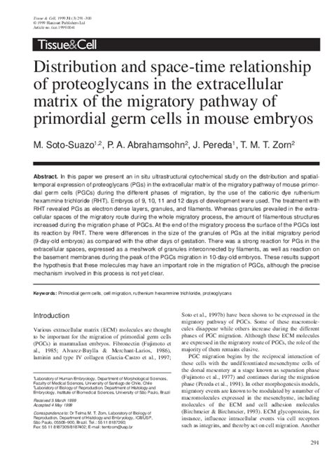 Pdf Distribution And Space Time Relationship Of Proteoglycans In The