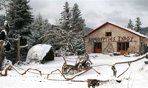 ΒΥΤΙΝΑ ΑΓΟΡΕΣ ΞΥΛΟΓΛΥΠΤΑ ΖΥΜΑΡΙΚΑ ΤΥΡΙΑ ΜΕΛΙ ΓΛΥΚΑ ΒΥΤΙΝΑ ΑΡΚΑΔΙΑΣ