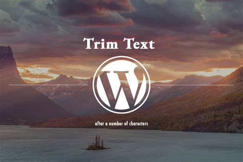 Wordpress How Trim Text After A Number Of Characters