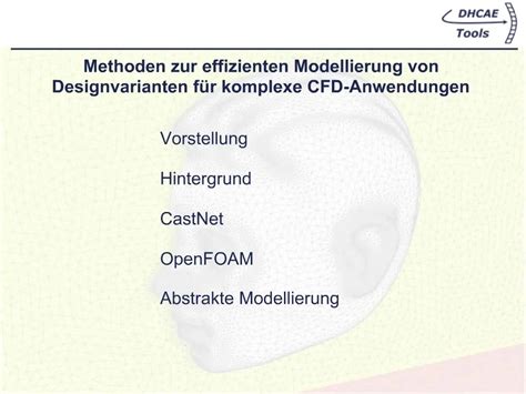 Ppt Vorstellung Hintergrund Castnet Openfoam Abstrakte Modellierung