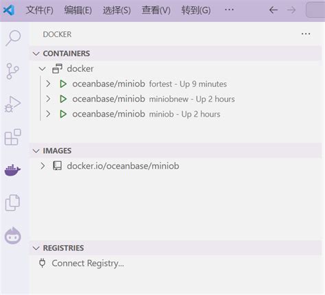 Windows Docker Vscode Miniob
