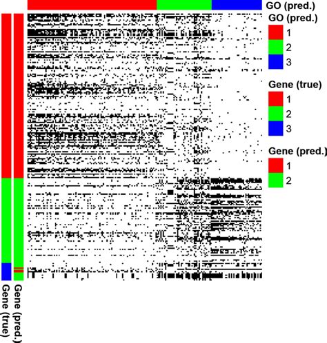 disjoint gene assignment between pathways the heatmap shows the binary