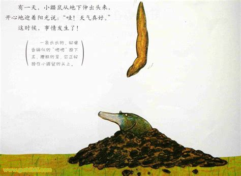 是谁的嗯嗯在我头上 故事绘本 故事365