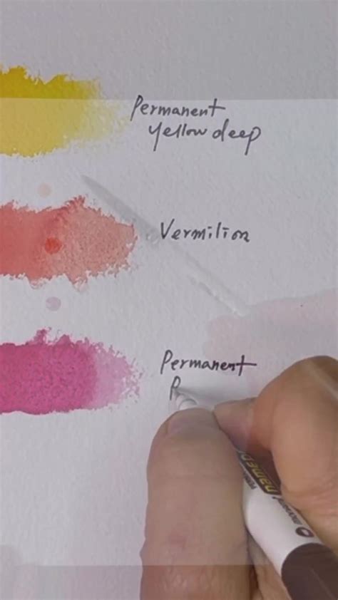 오늘은 신한물감 Swc의 3가지 색상을 소개합니다 퍼머넌트옐로우딥 버밀리온 퍼머넌트로즈 이 세가지 색상을 이용하여 책 수채화알러스트 에 나온 튤립을 그려봅니다