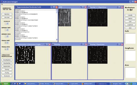 The Classification Process Download Scientific Diagram