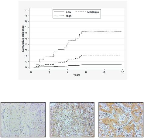 A Cumulative Incidence Plots Showing Incidence Associated With Ptch1 Download Scientific