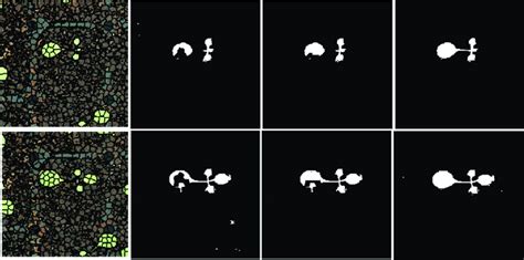 Segmentation Results After Post Processing Using Three Trained