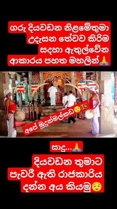 🙏සාදූ සියලු දෙනාට දළදා හමුදුරුවන්ගේ පිහිටයි අශිර්වදයයි😌සියපු දෙනම ආරක්ශාකරෂා වේවා 🇱🇰