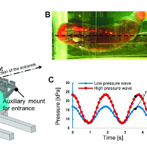 The Particle Image Velocimetry Piv Flow Visualization Experiment A Download Scientific