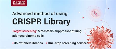 Advanced Method Of Using Crispr Library Check Out The Target Screening Ideas From A Nature Article