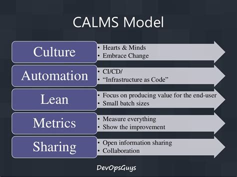 Calms Model Culture Automation Lean