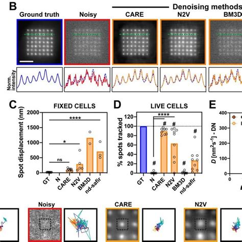 Image Denoising To Track Chromatin Microdomains In Live Cell Nuclei A Download Scientific
