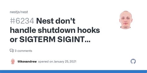 Nest Dont Handle Shutdown Hooks Or Sigterm Sigint When Running