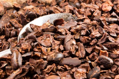 Dominican Cocoa Nibs G Nick S Chocolate