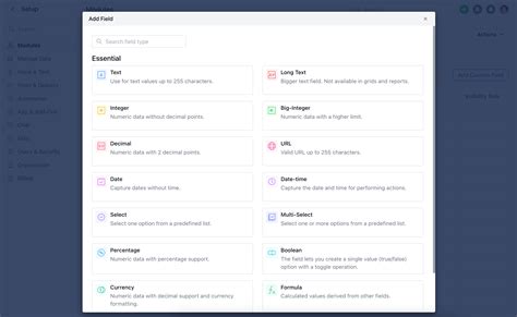 Create Fields For Custom Module Layout Salesmate
