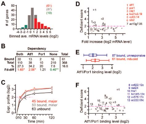 Atf1pcr1 Bound Genes Exhibit High Likelihood Of Requirement For