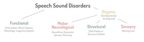 Speech Sounds Dynamicsltherapy Com