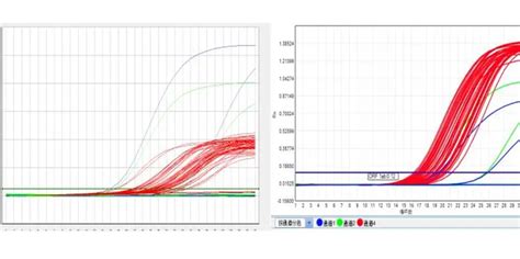 Pcr扩增的原理和步骤360新知