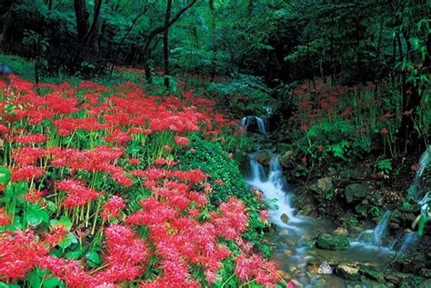 전라남도 함평군 국내여행 음식정보 전통시장 여행지추천 지역축제 테마여행 트래블아이