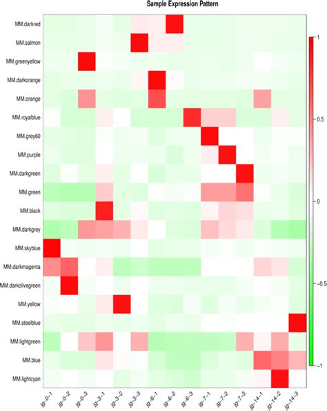 Correlation Heatmap Of Module Sample Association The Colors Ranging