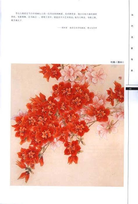 工笔画杜鹃 画工笔画 工笔画花卉 第13页 大山谷图库