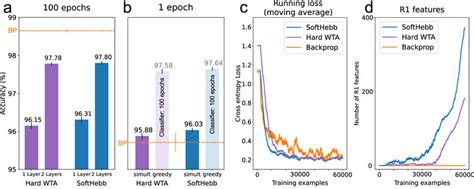 noise and adversarial attack robustness of softhebb and of download scientific diagram