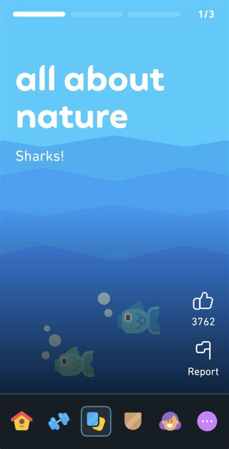 Duolingo Rolls Out Snips Feature To Select Users What We Know Duoplanet