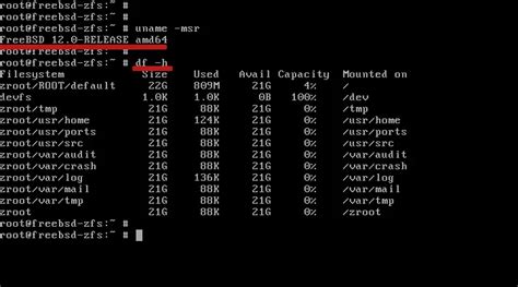 How To Install Freebsd 120 With Zfs Filesystem