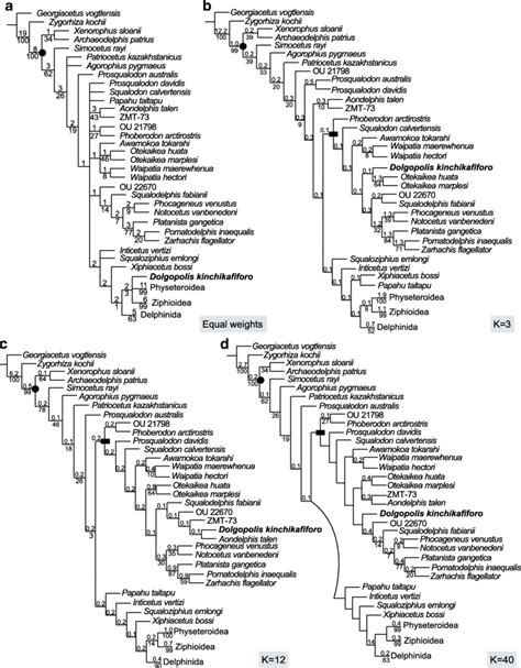 Strict Consensus Tree Of The Analysis For Equal Weights A And Mpt Of Download Scientific