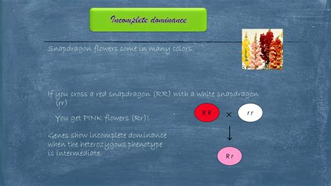 Mendel Laws Of Inheritance Part 3 Pdf Genetics Science