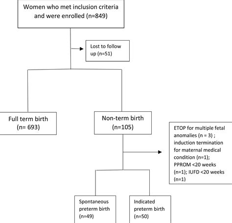 Use Of Cervical Elastography At 18 To 22 Weeks Gestation In The